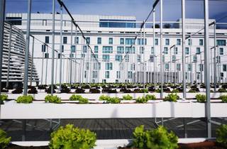 The World’s Largest Urban Farm has Opened on a Paris Rooftop