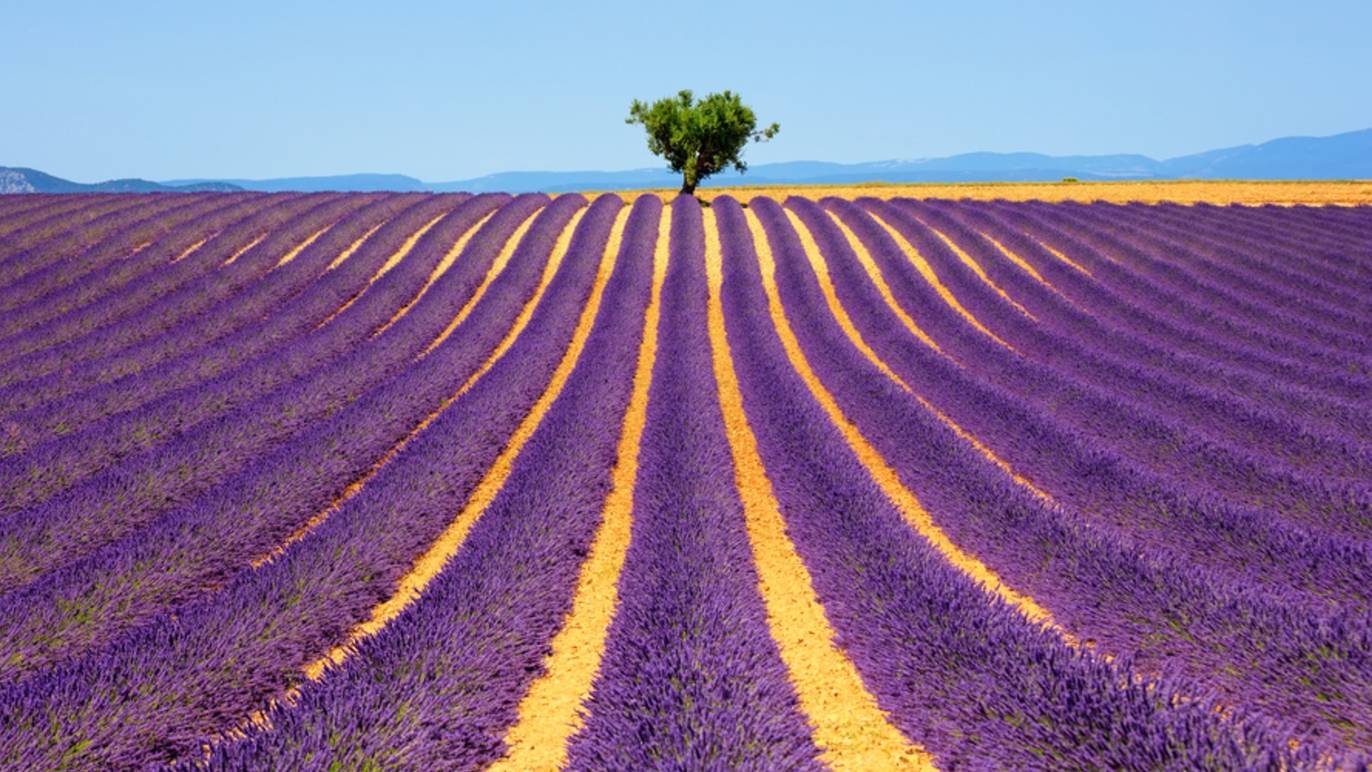 17 Incredibly Beautiful Places to Visit in France