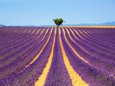 17 Incredibly Beautiful Places to Visit in France