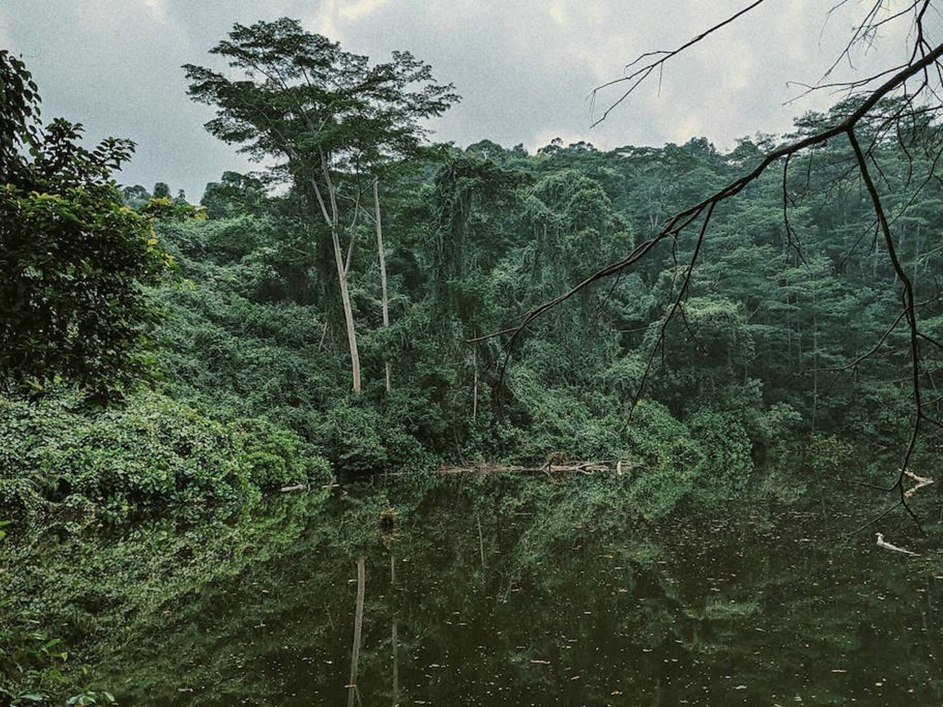 Guide to Bukit Batok and Bukit Gombak: Things To Do and Eat