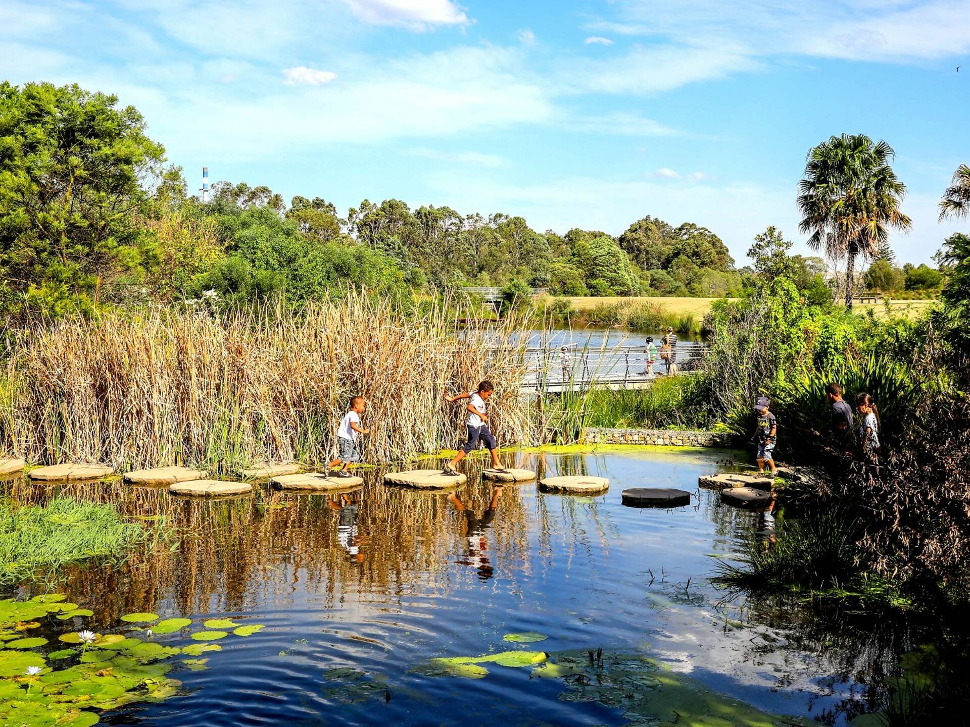 The 10 Best Parks to visit in Sydney | Gardens and National Parks
