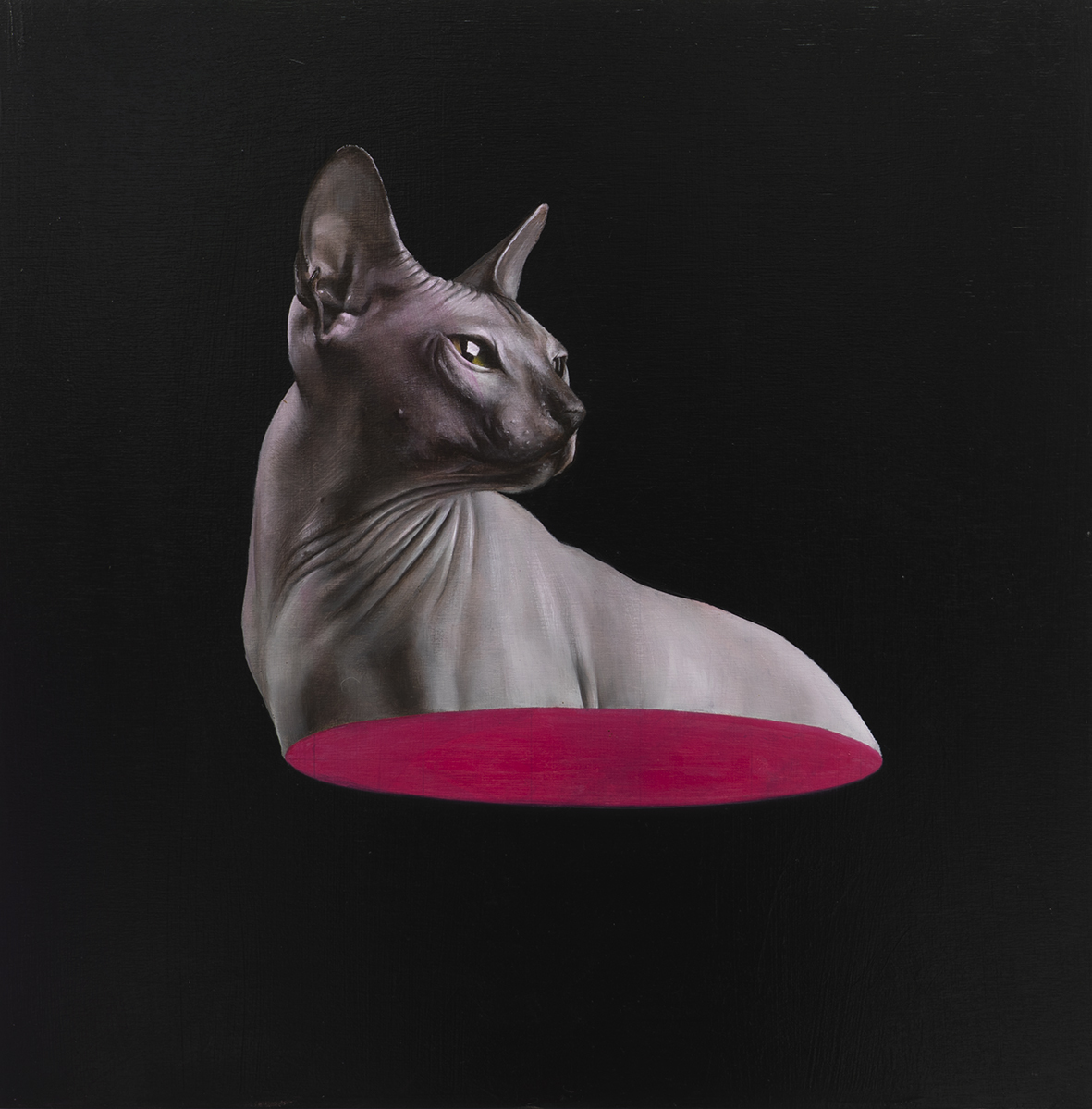 Sam Leach: Fully Automatic | Art in Sydney