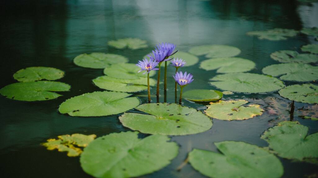 7 Meditation Classes in Singapore To Help Practise Mindfulness