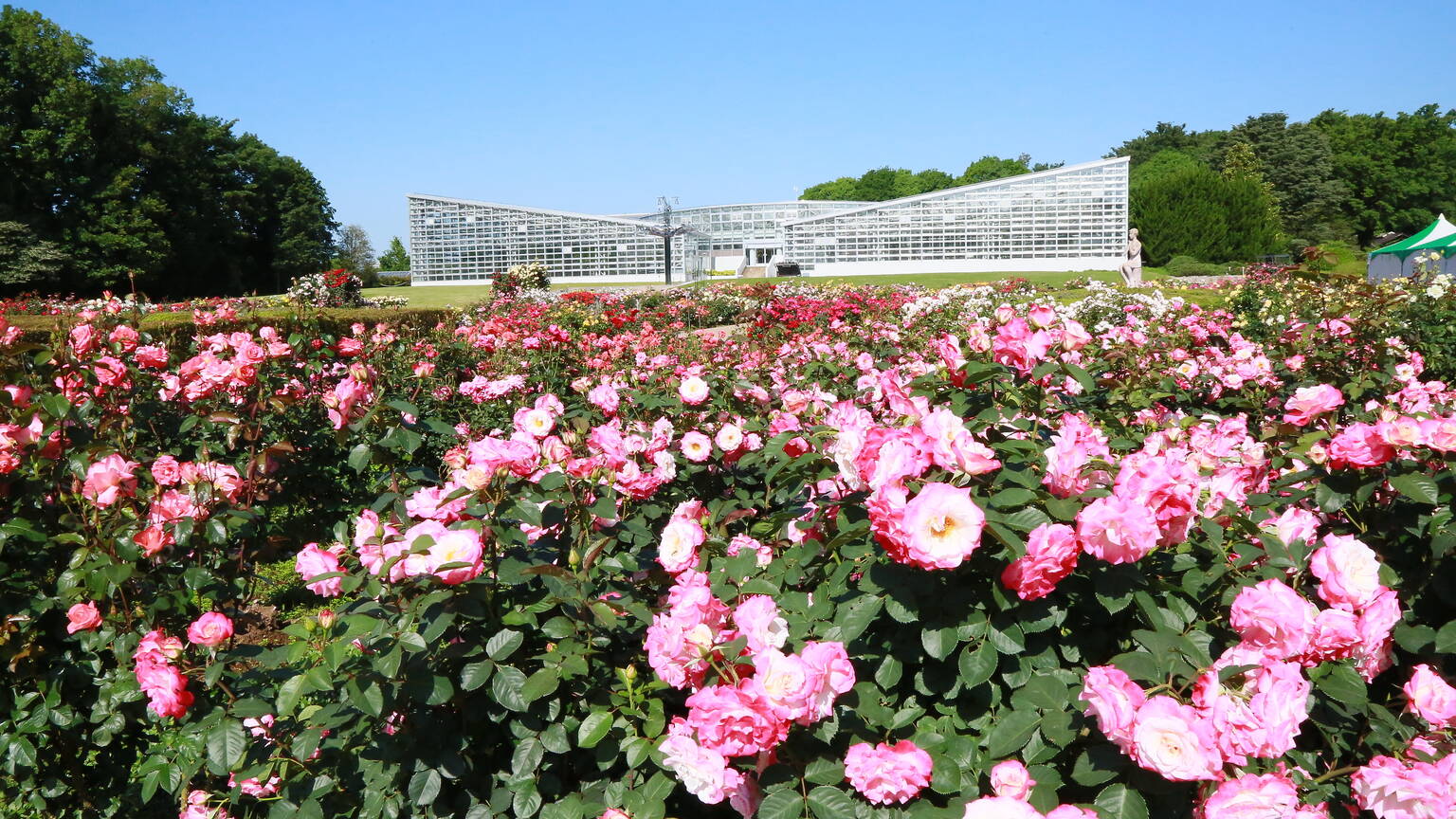 8 best nature escapes in and around Tokyo