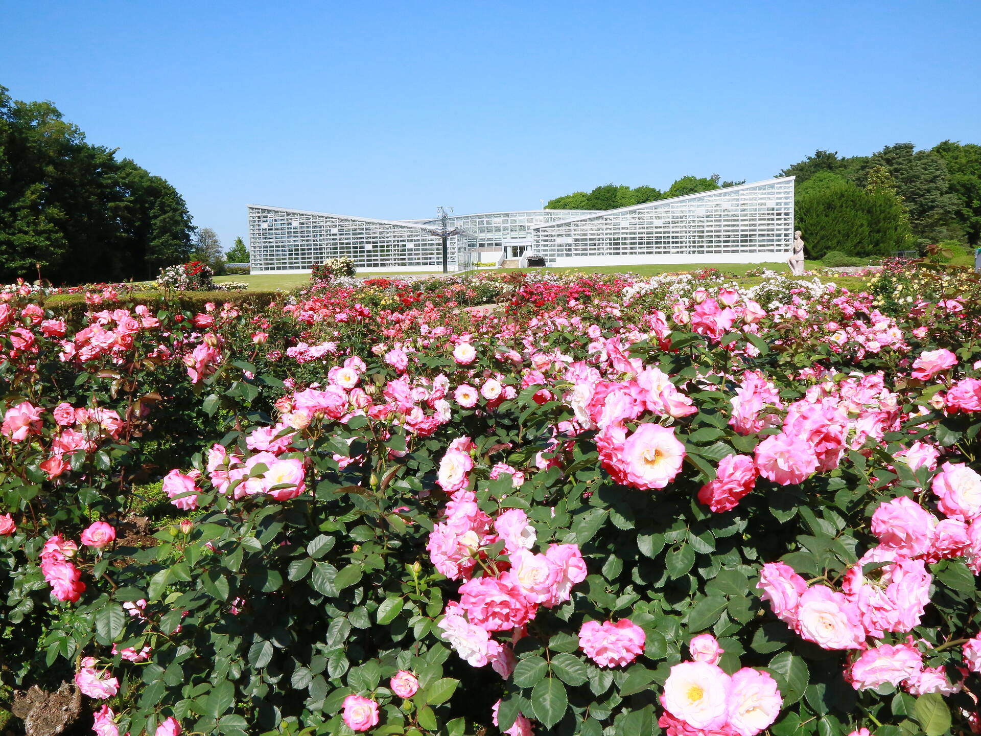 8 best nature escapes in and around Tokyo