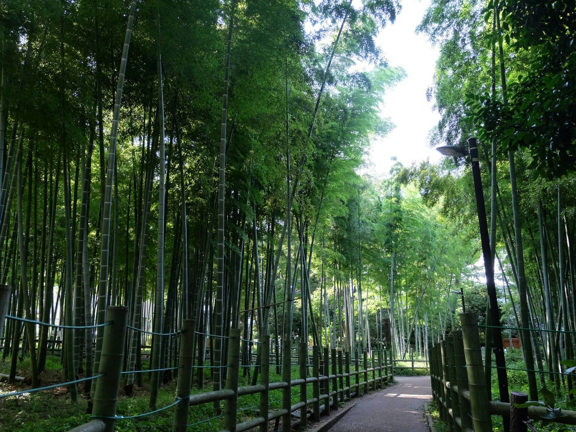 8 best nature escapes in and around Tokyo