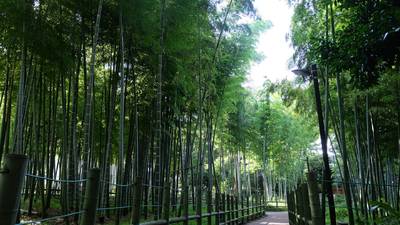 8 best nature escapes in and around Tokyo