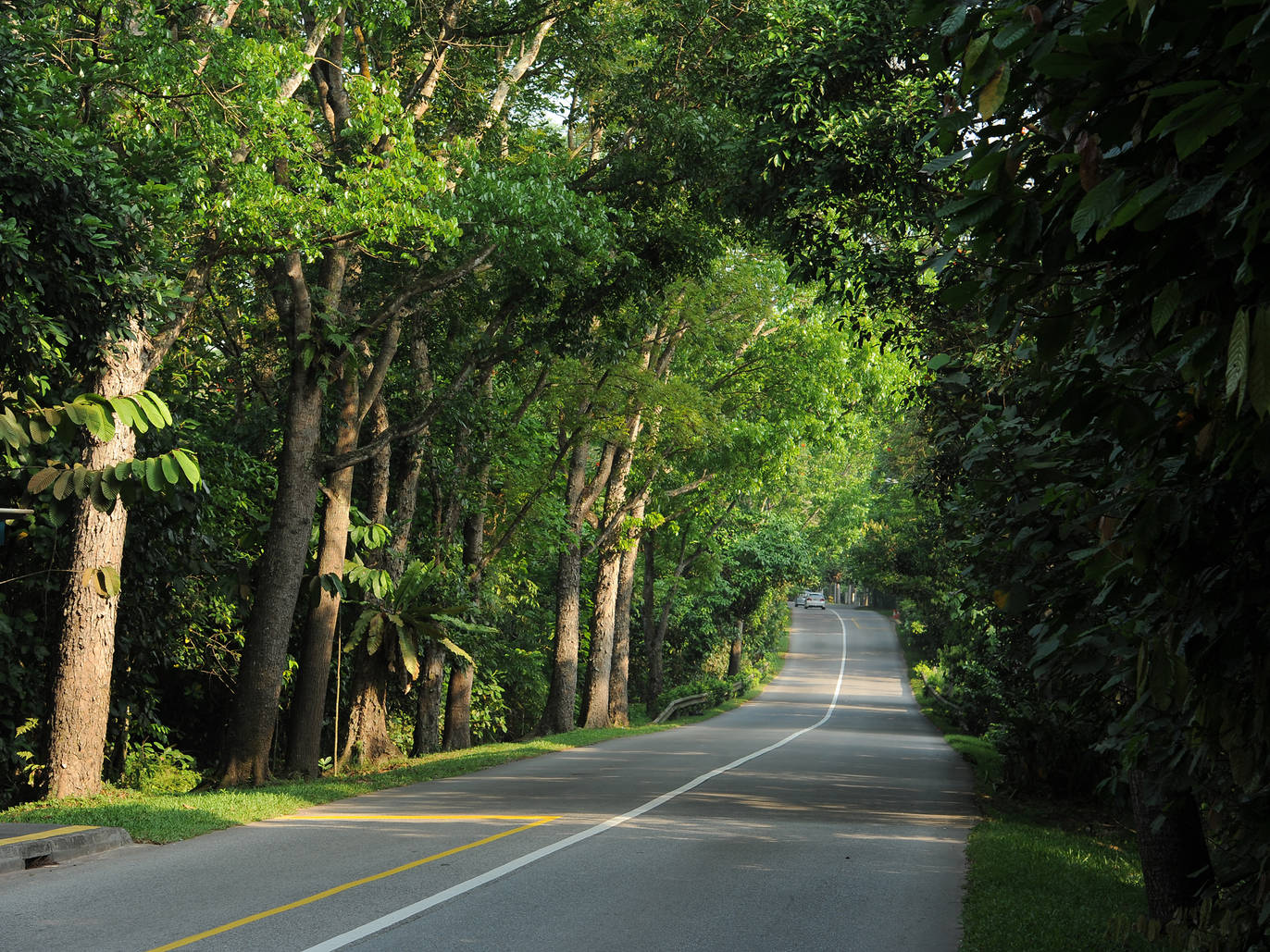 10 Scenic Driving Routes in Singapore