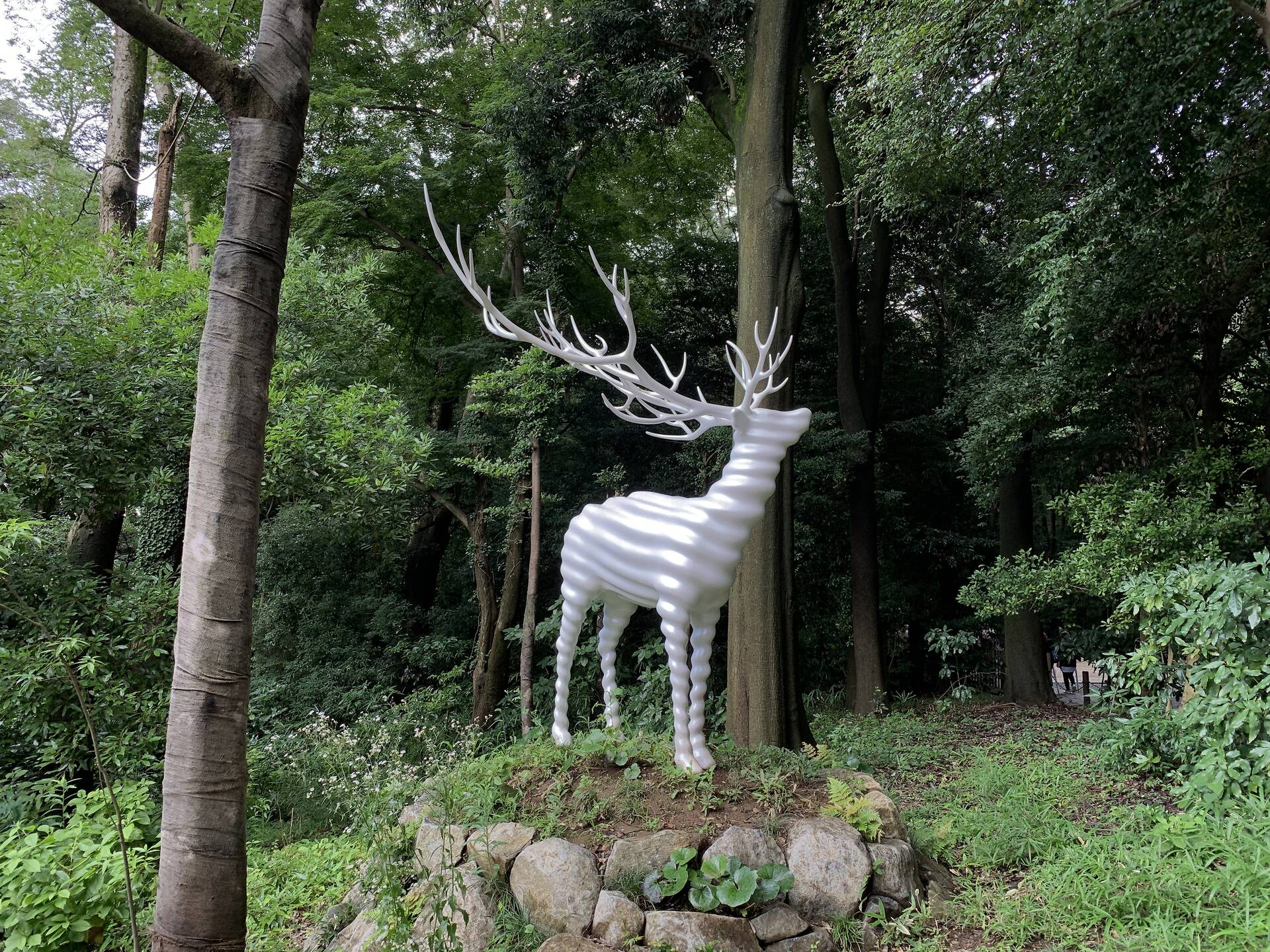 Best botanical gardens and greenhouses in Tokyo | Time Out Tokyo