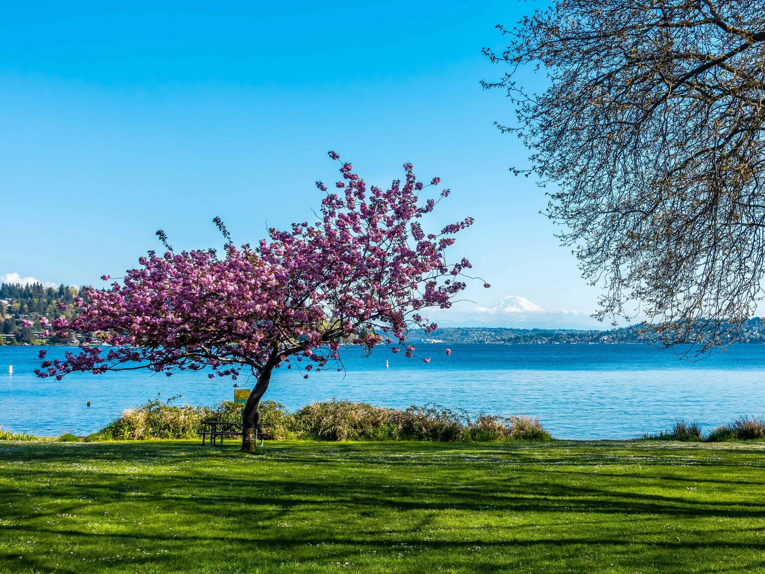 23 Best Things to Do in Seattle Right This Minute