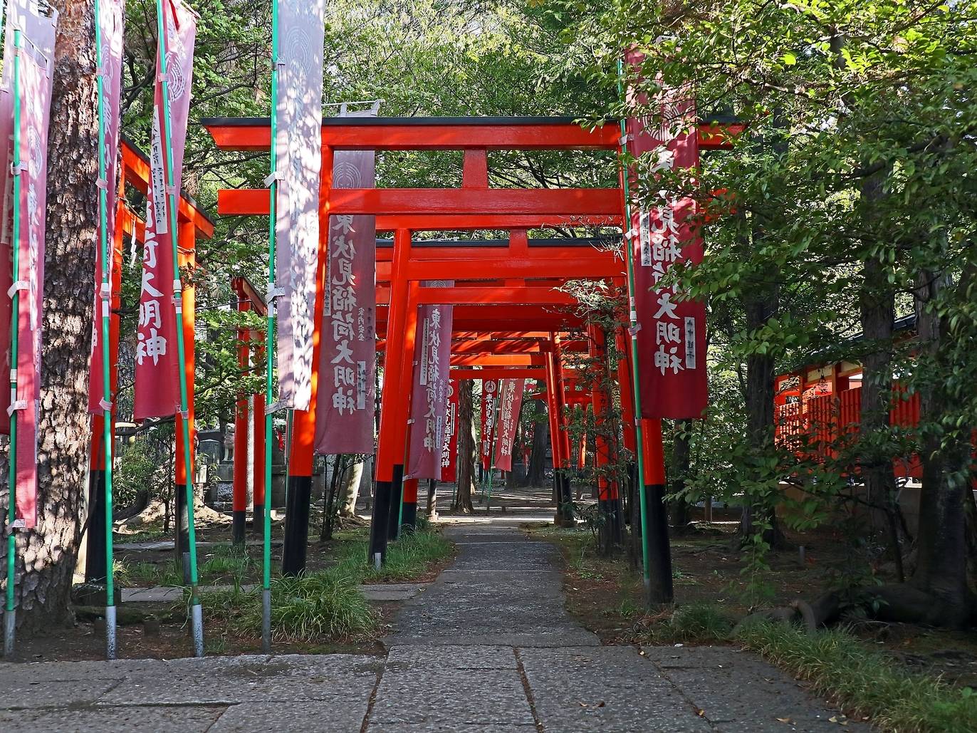 Where to see iconic Japanese scenery without leaving Greater Tokyo