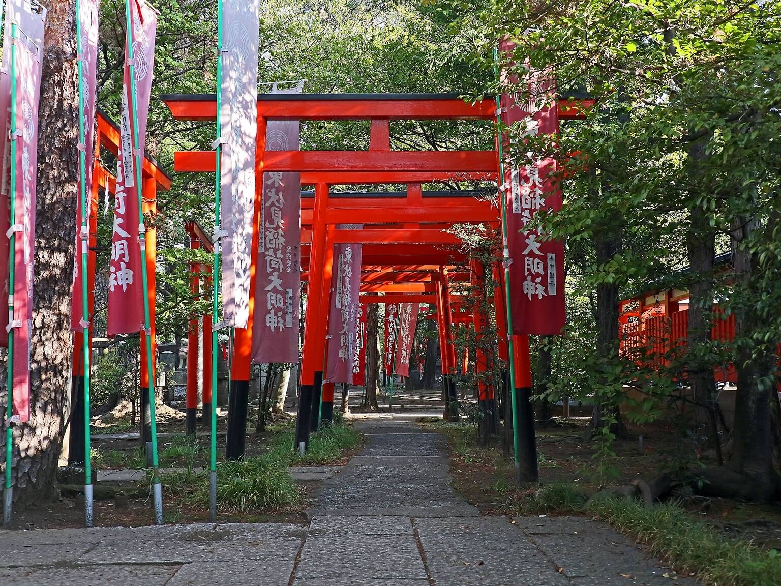 Where to see iconic Japanese scenery without leaving Greater Tokyo