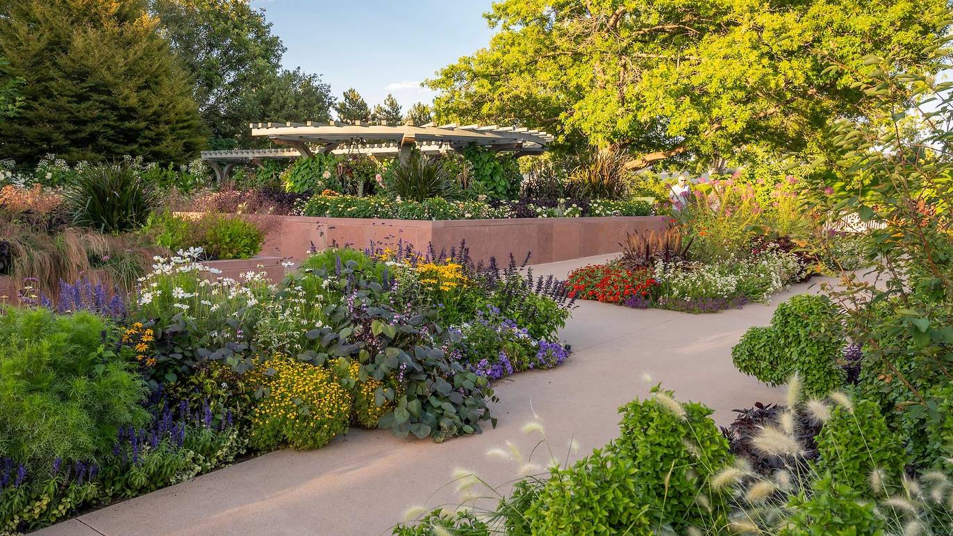 22 Best Things to Do in Denver: A Local’s Guide To The City