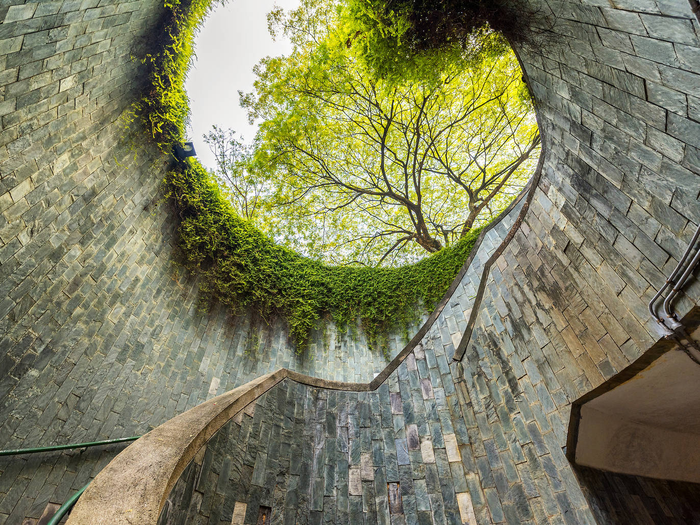 21 Best Nature Trails In Singapore | Nature Walks