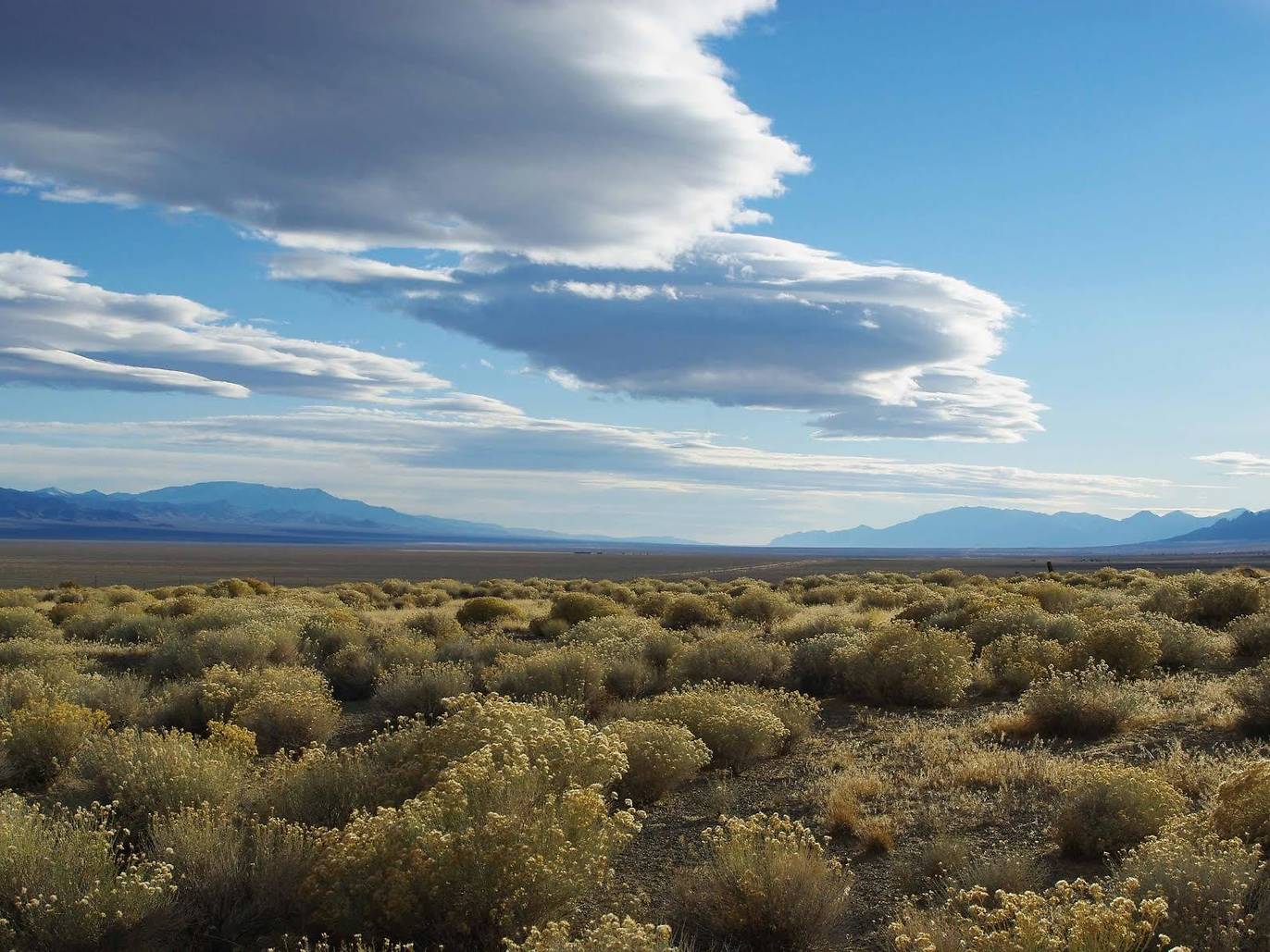 10 Best National Forests in California for an Outdoor Adventure