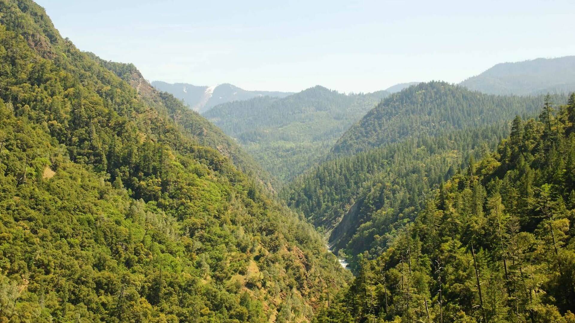 10 Best National Forests in California for an Outdoor Adventure