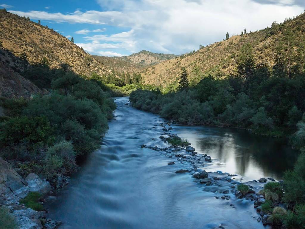 10 Best National Forests in California for an Outdoor Adventure