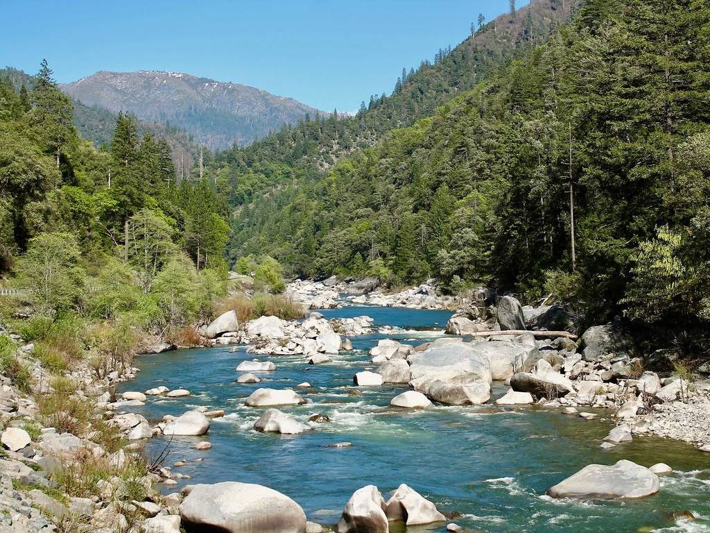 10 Best National Forests in California for an Outdoor Adventure