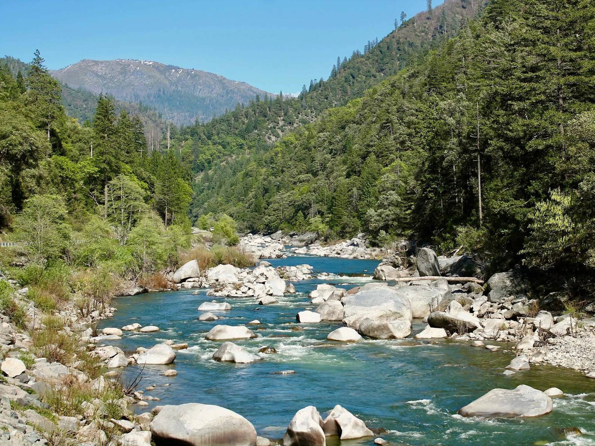 10 Best National Forests in California for an Outdoor Adventure