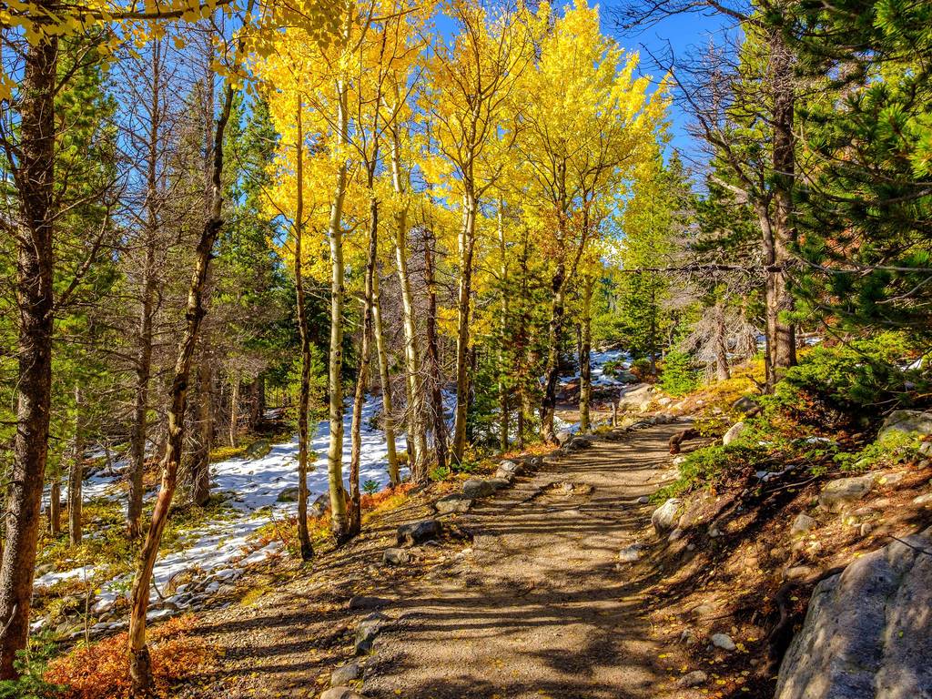 Where to See Best Fall Foliage in the USA For Beautiful Fall Colors