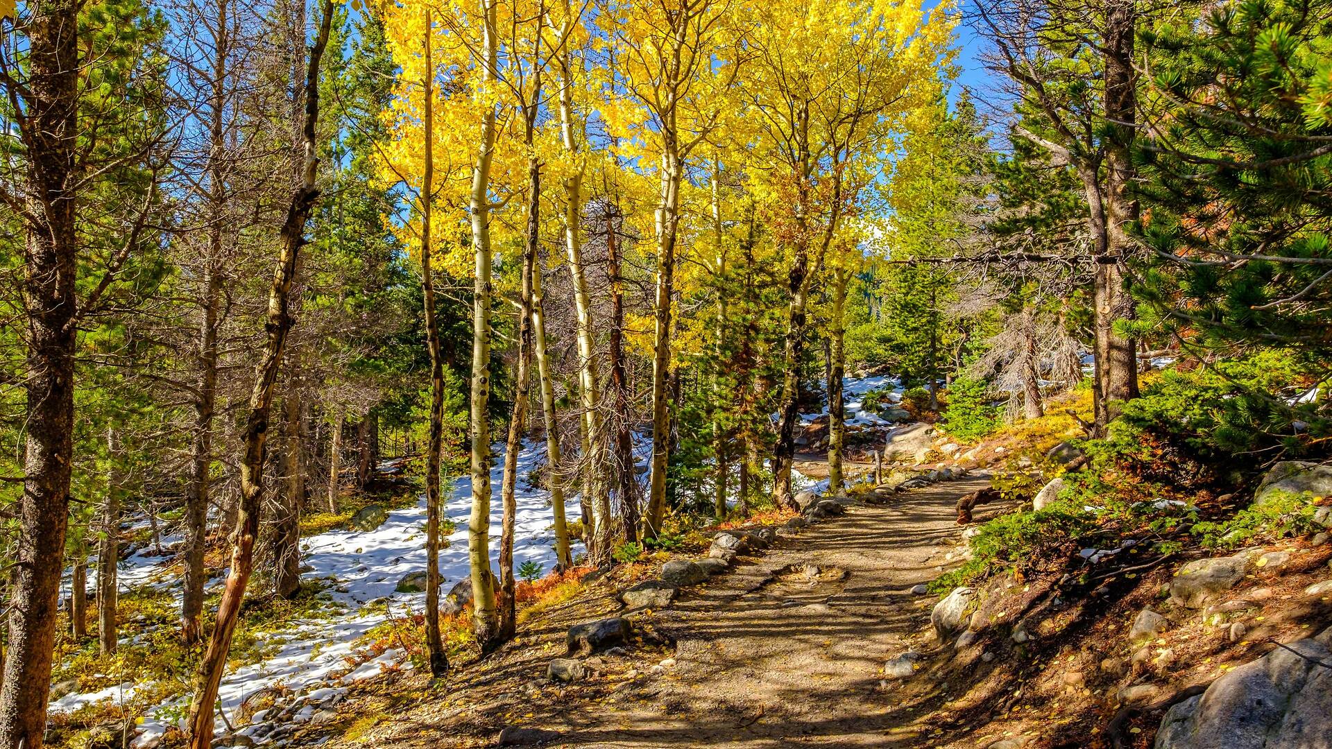 Where to See Best Fall Foliage in the USA For Beautiful Fall Colors