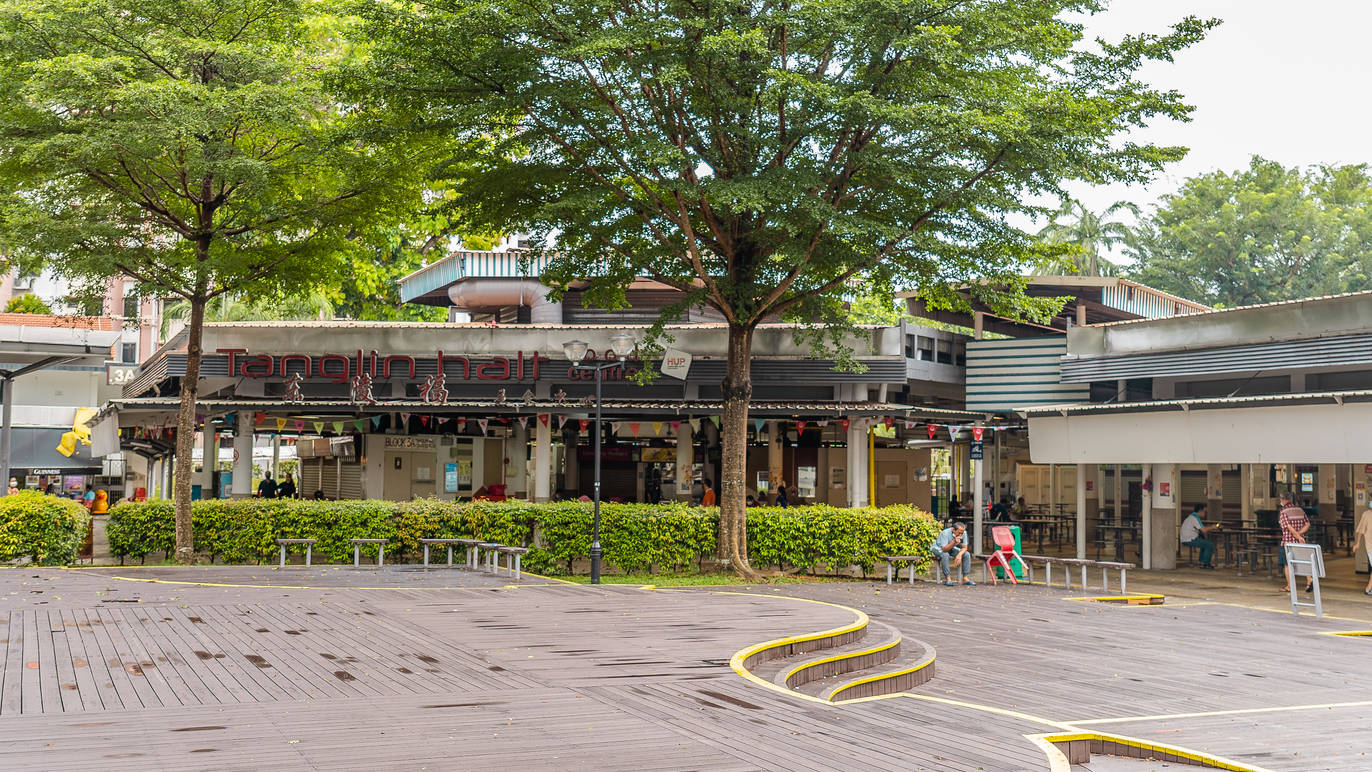 A Last Look At The Old Tanglin Halt