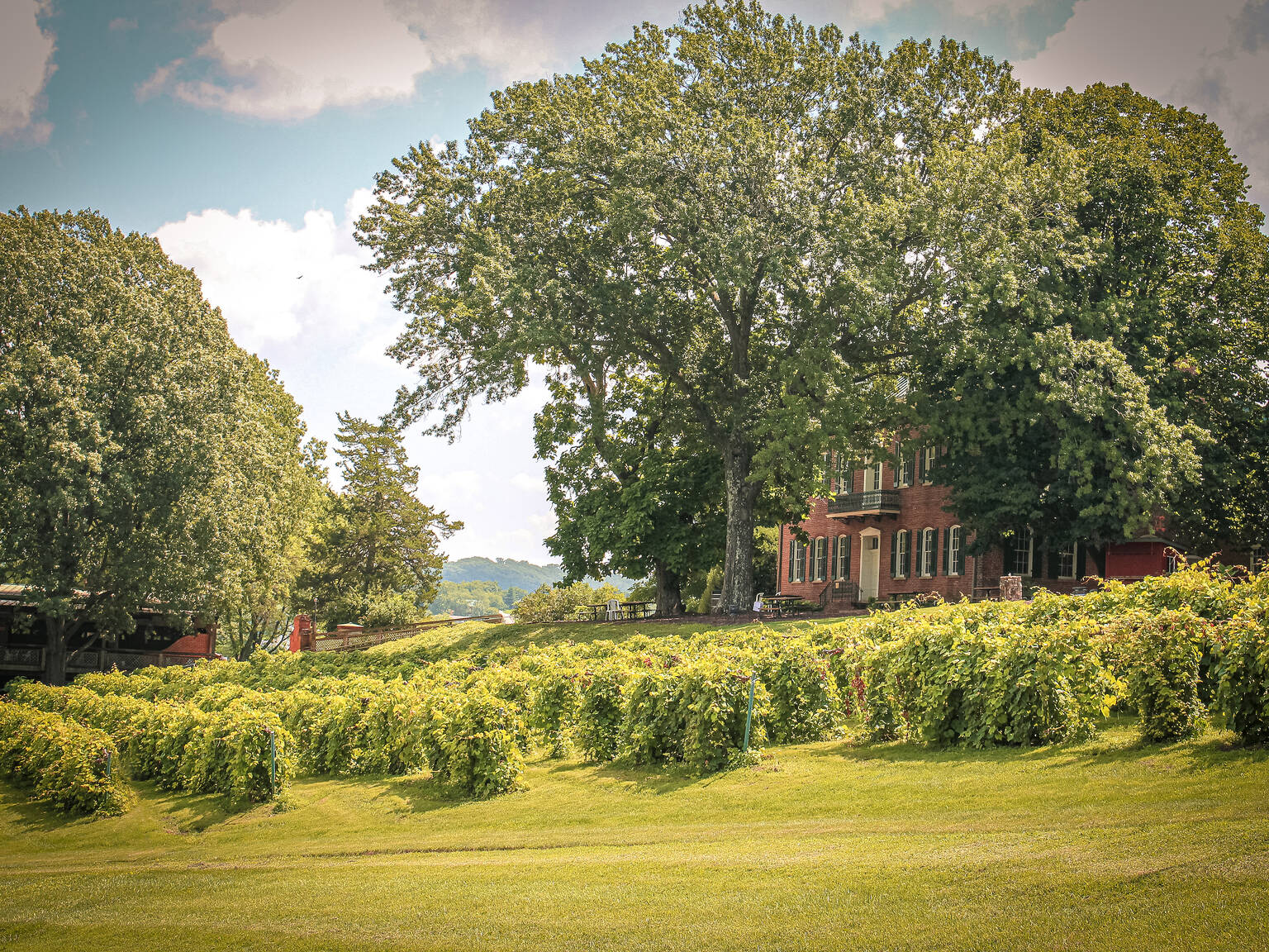 9 Best Restaurants in Schaumburg Right Now