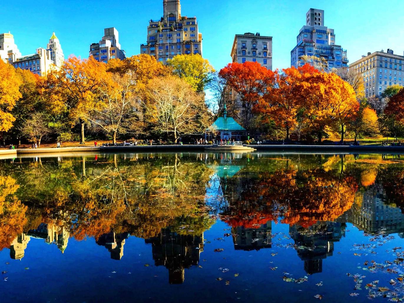 12 Best Fall Activities for Kids in NYC