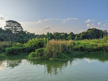 Sengkang Guide: Things To Do, Eat, Drink And Shop