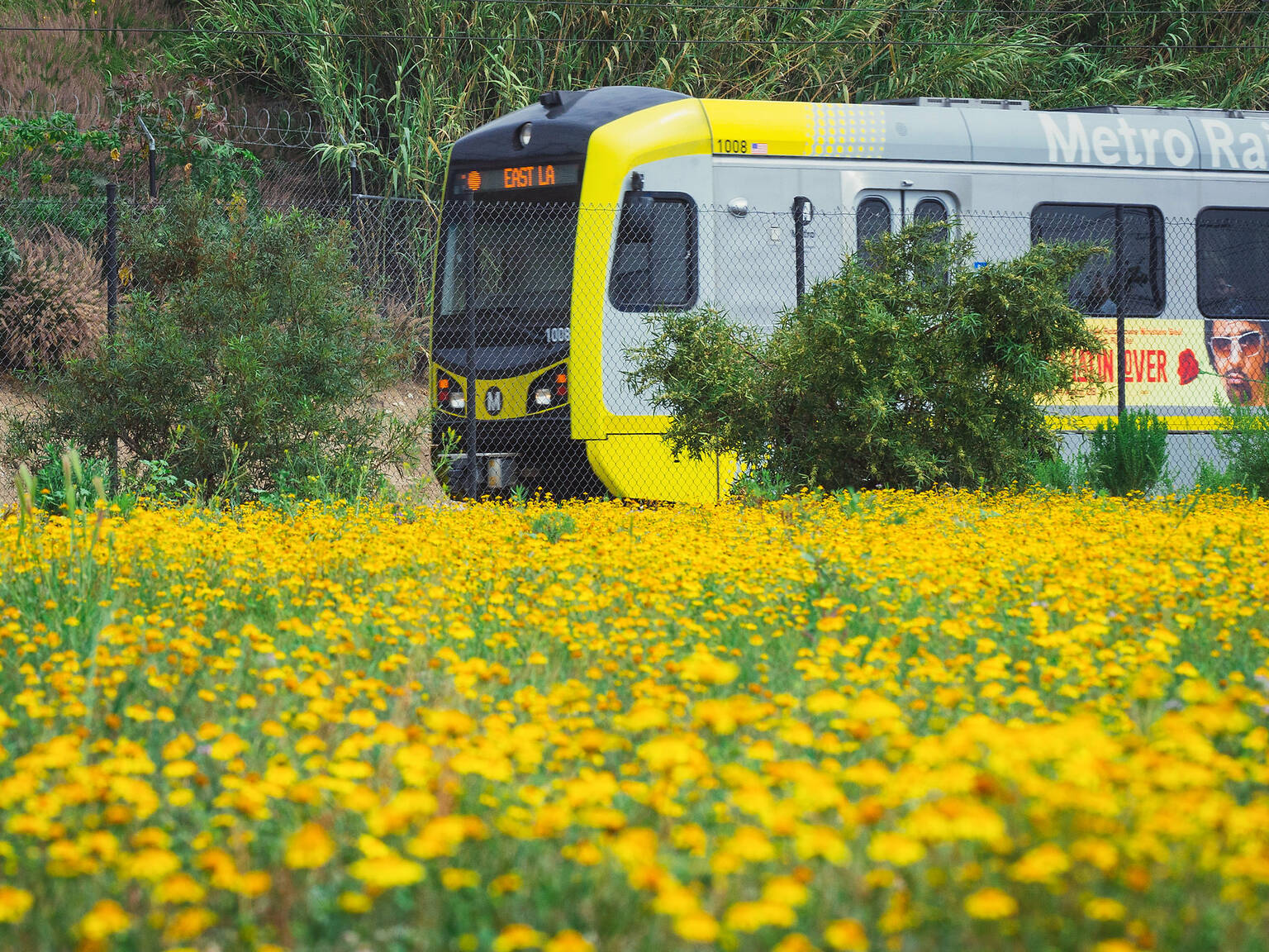 Cheapest Ways to Get Around Los Angeles: Transportation Tips in L.A.