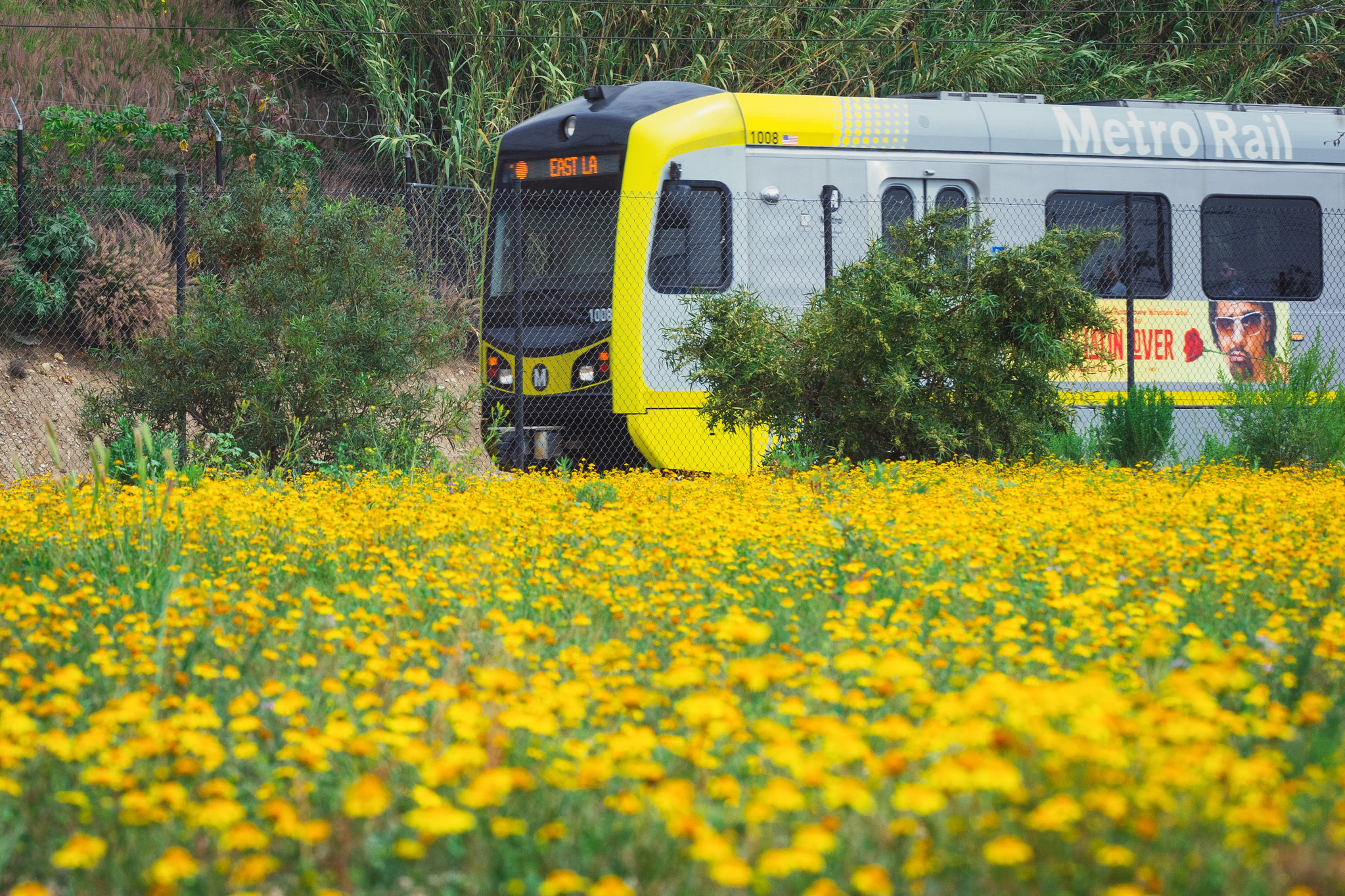 Metro Might Make Bus And Rail Service Free In Los Angeles