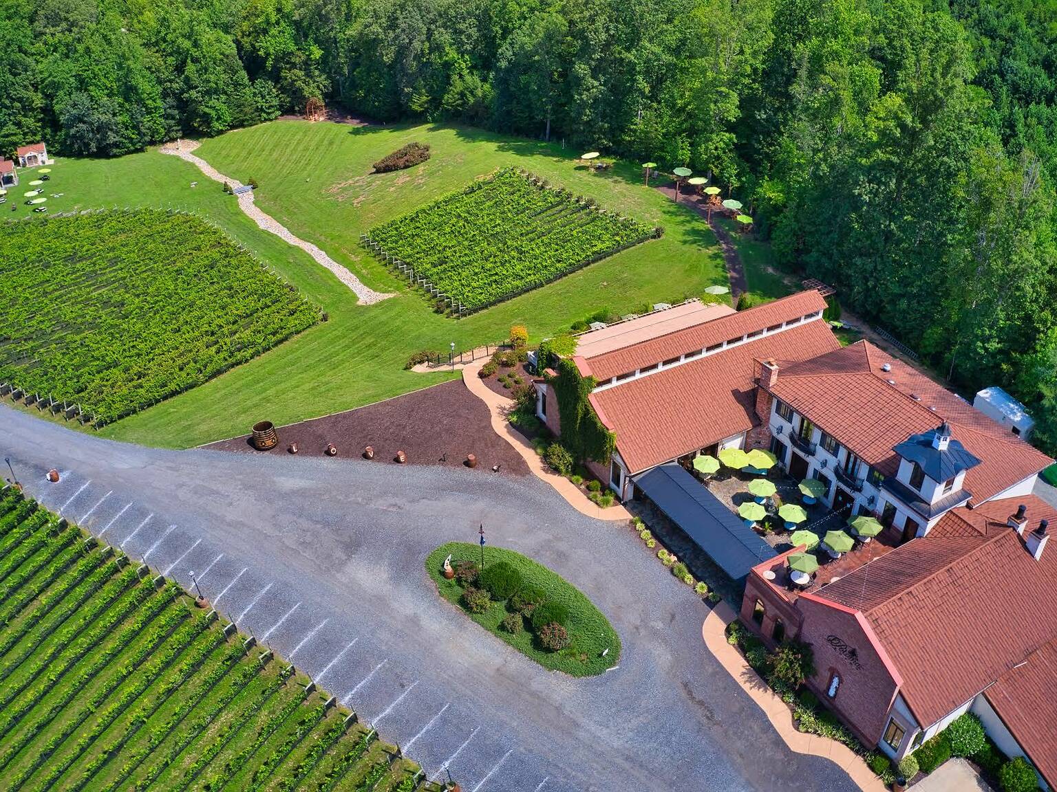15 Best Southern Wineries for Visits and Tastings