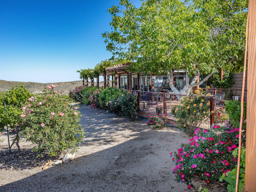 11 Scenic West Coast Wineries Worth a Trip