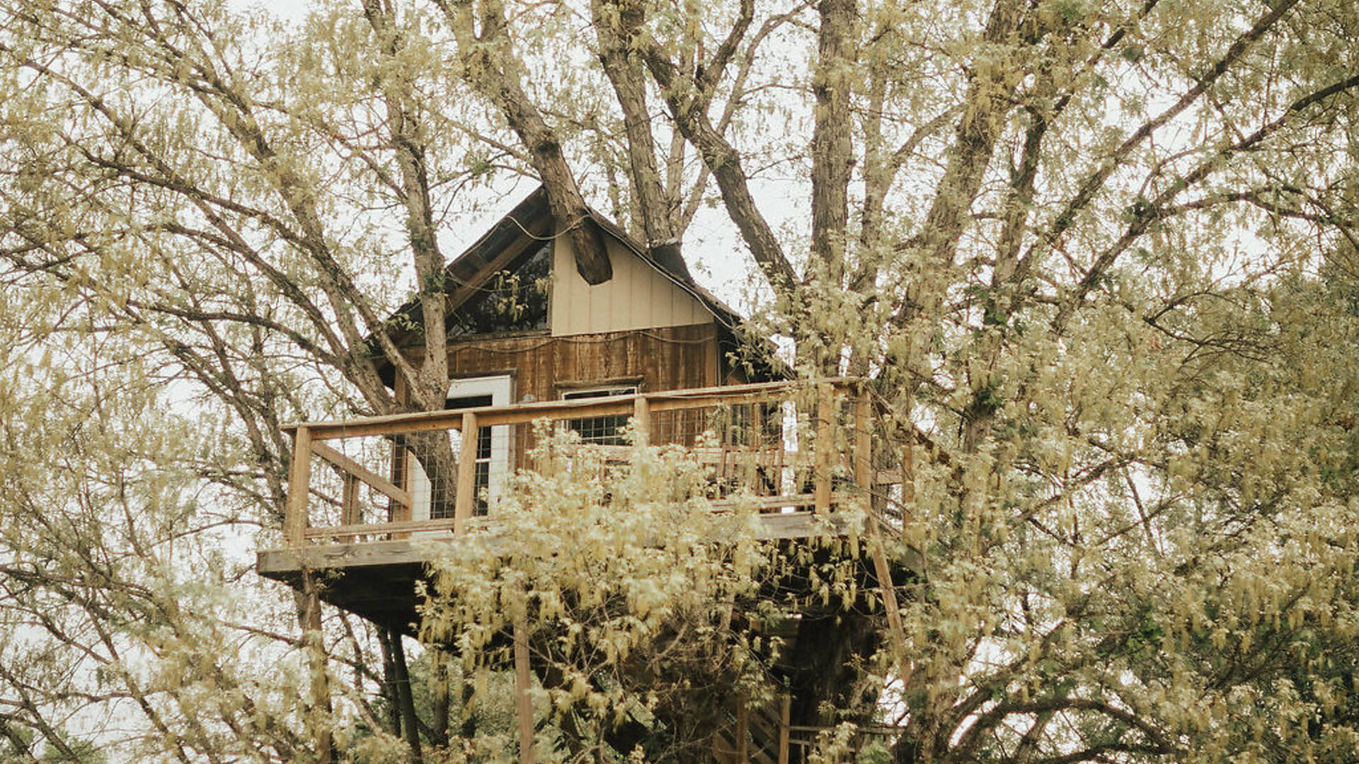 15 Best Southern Wineries for Visits and Tastings