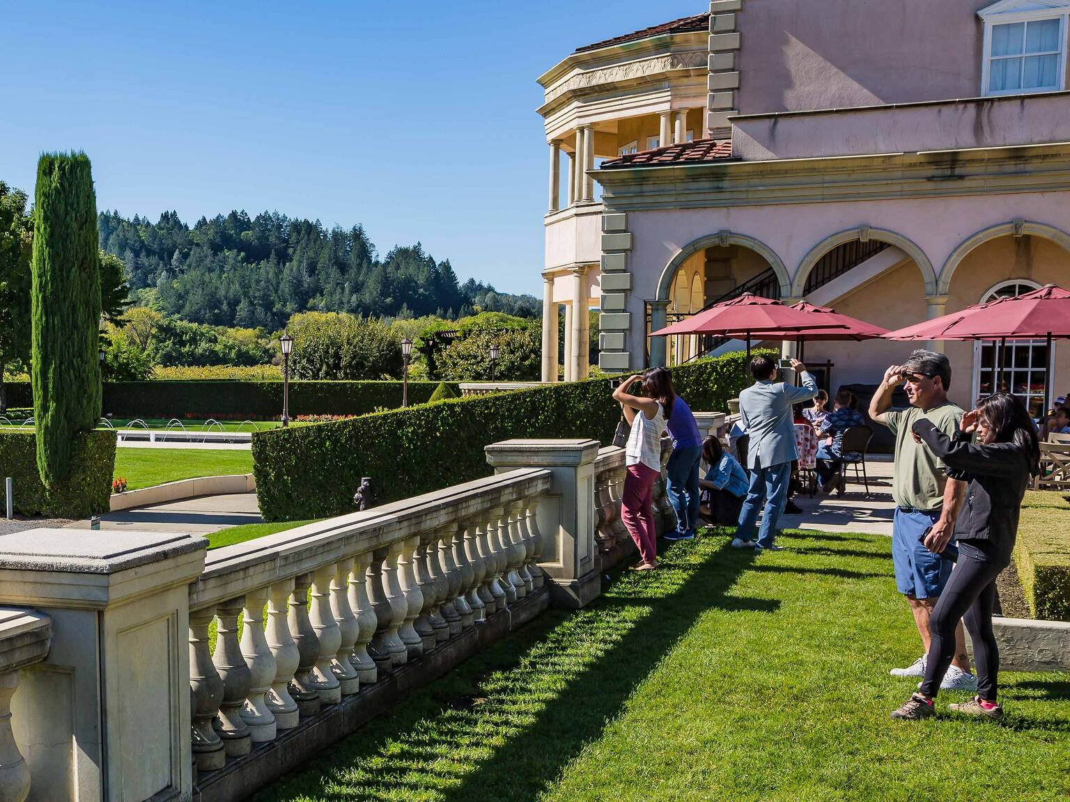 11 Scenic West Coast Wineries Worth a Trip