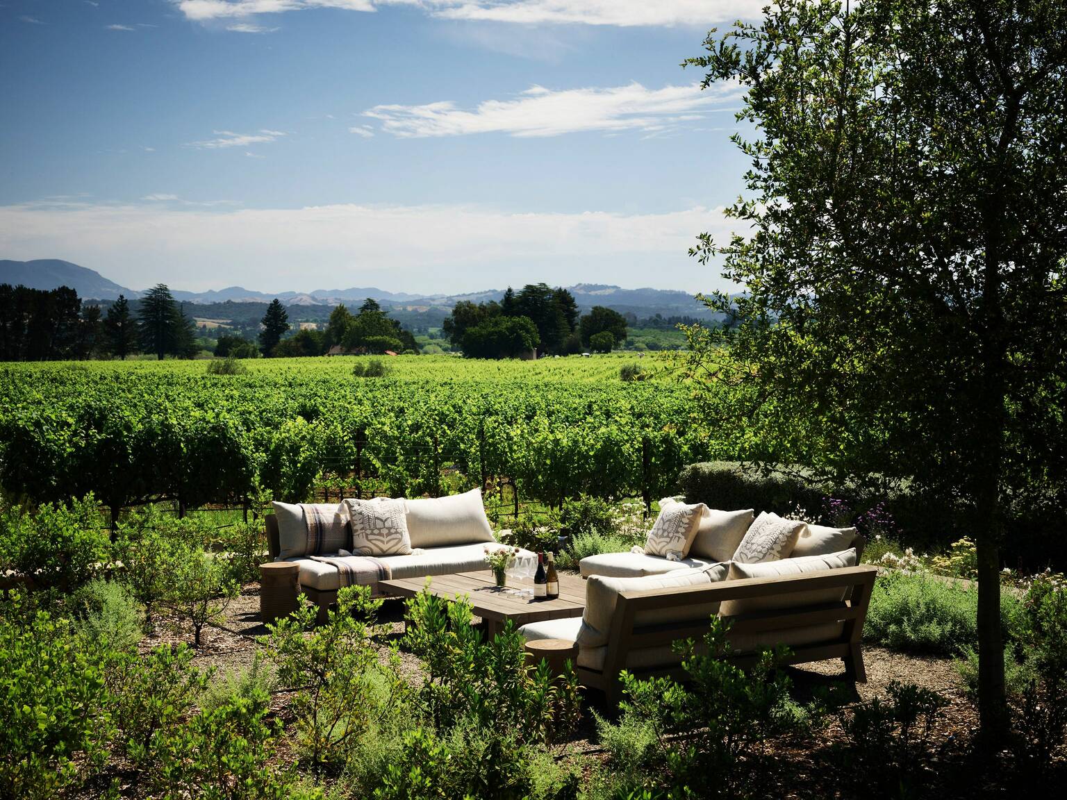 11 Scenic West Coast Wineries Worth a Trip