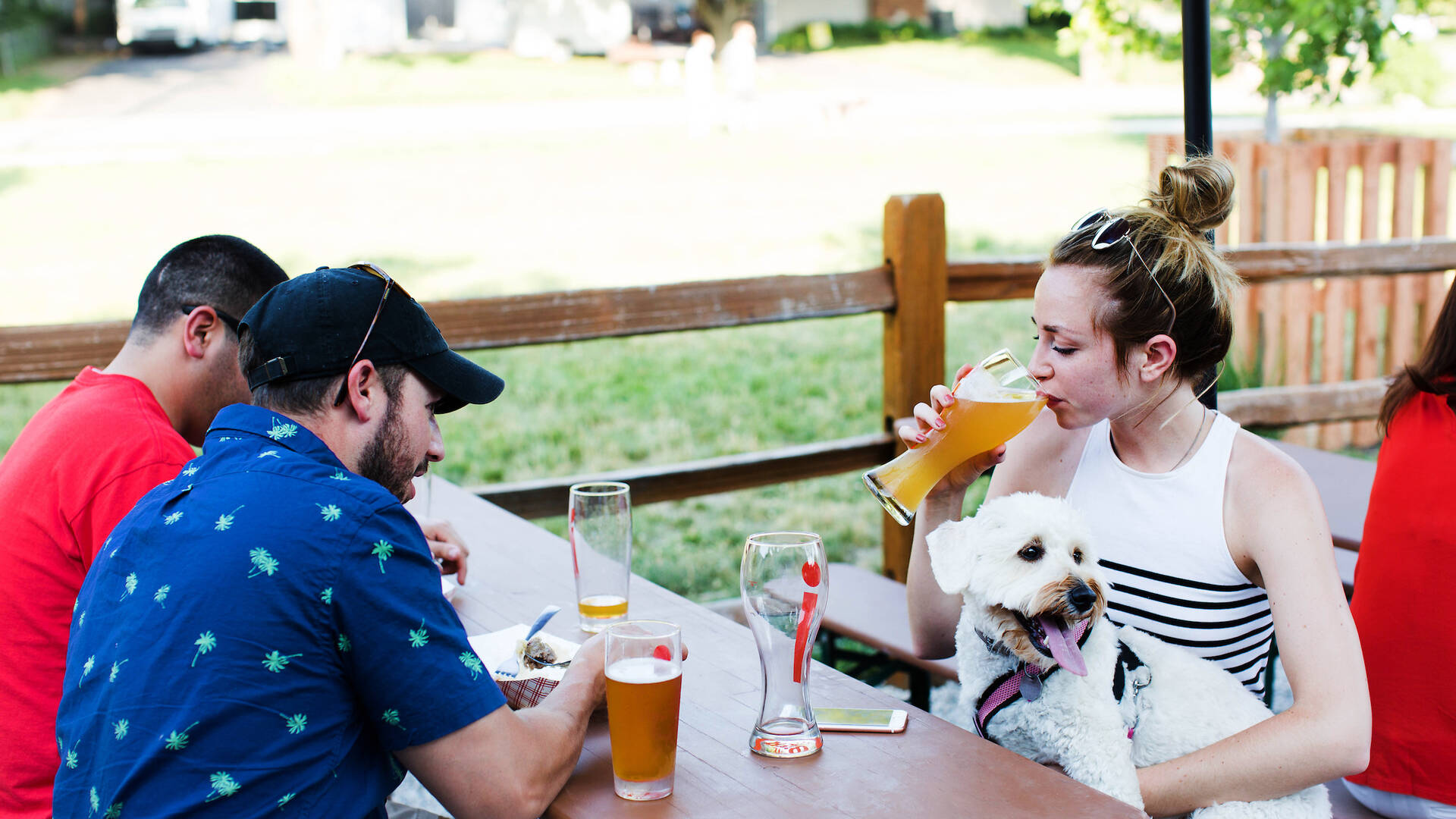 15 Amazing Midwest Breweries That You Should Visit
