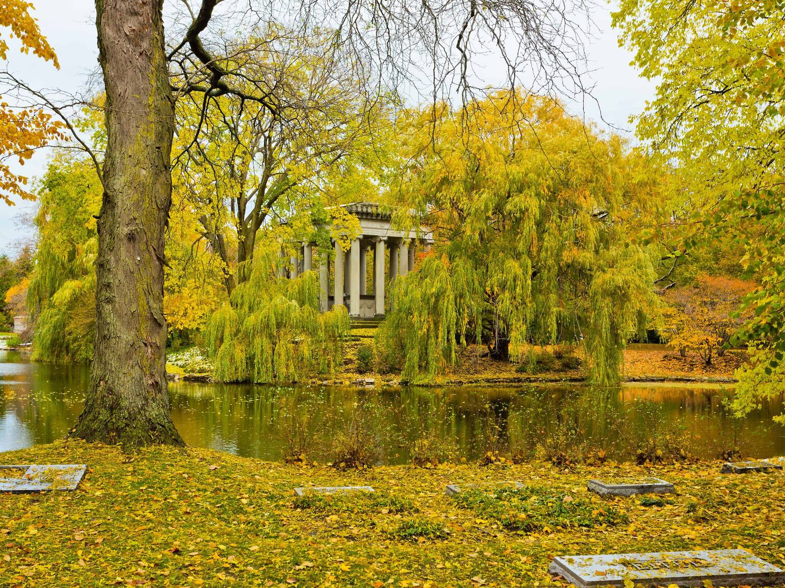 15 Best Things To Do In Uptown