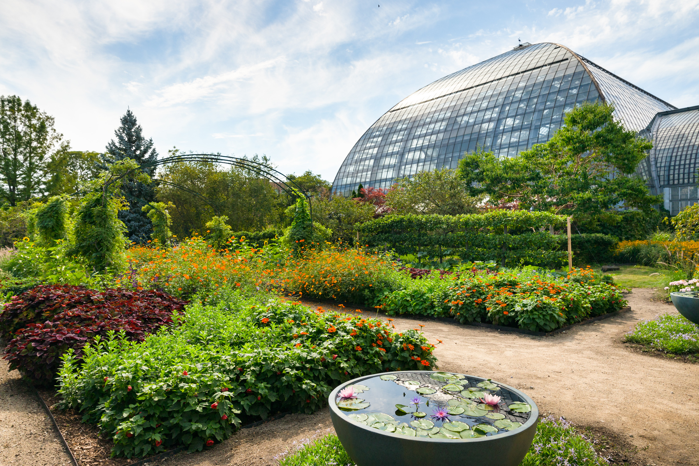 The Flowers Of Monet Things To Do In Chicago the-flowers-of-monet-things-to-do-in-chicago