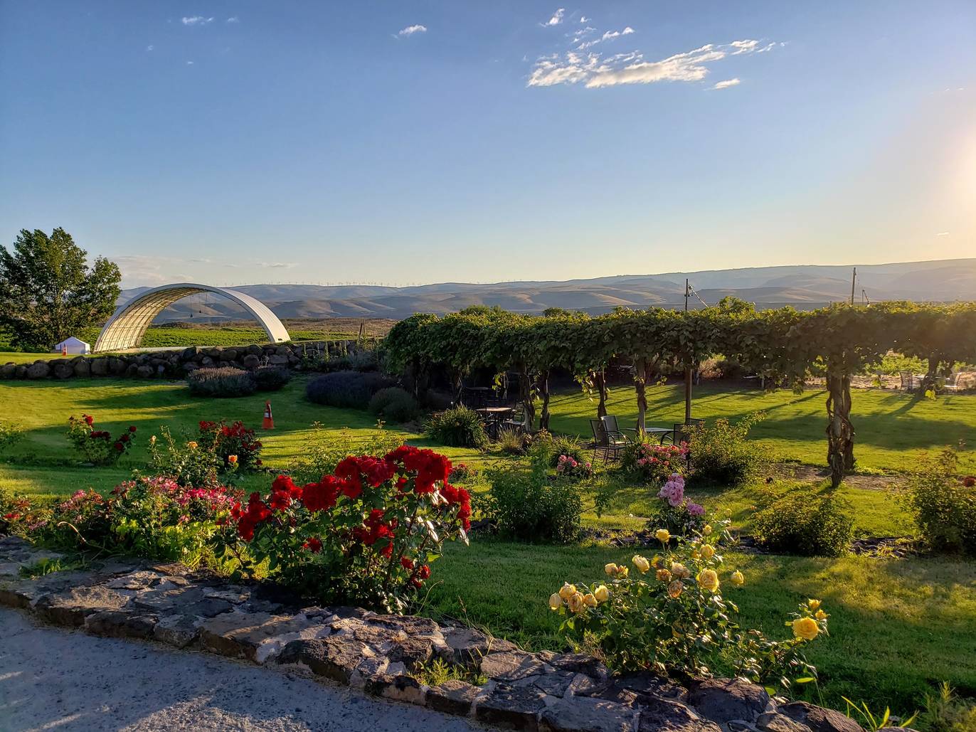 11 Scenic West Coast Wineries Worth a Trip