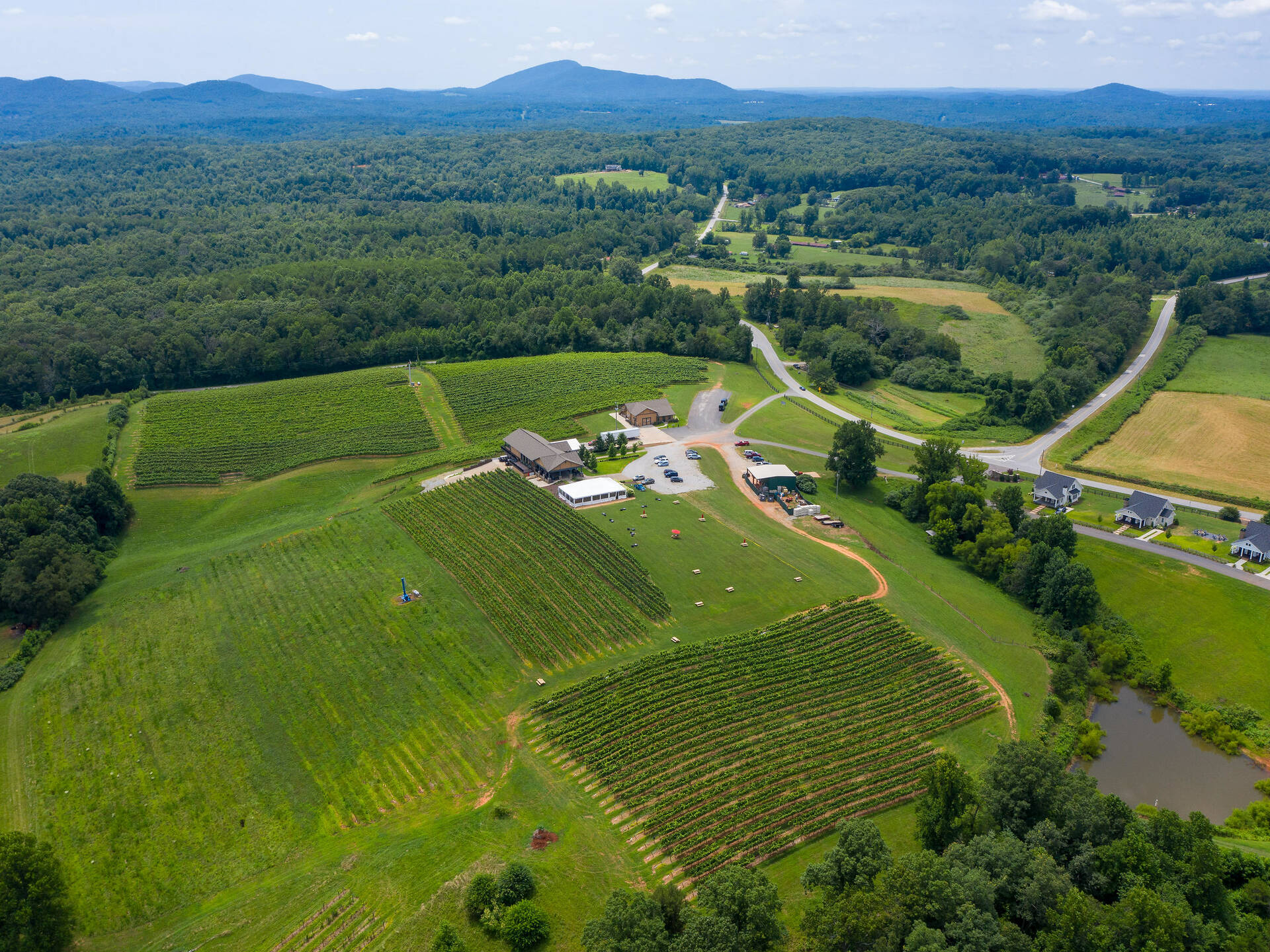 15 Best Southern Wineries for Visits and Tastings