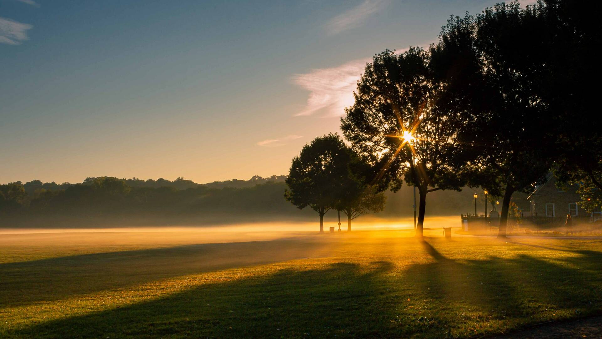 Where to See Fall Foliage in NYC this Autumn