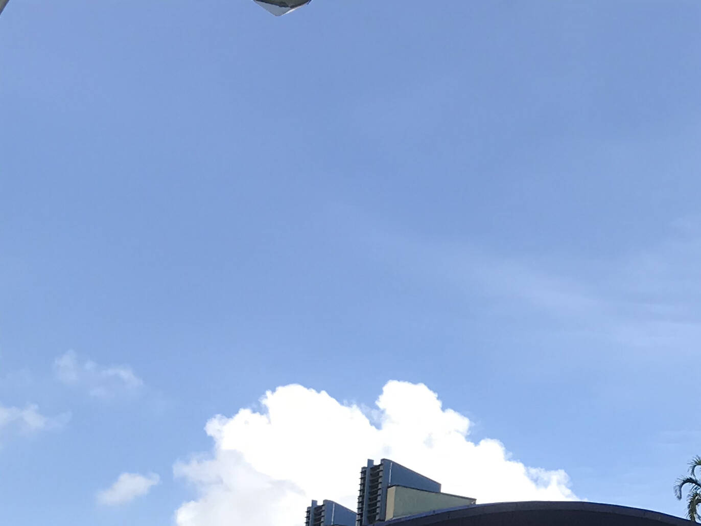 The Ultimate Guide to Bukit Panjang