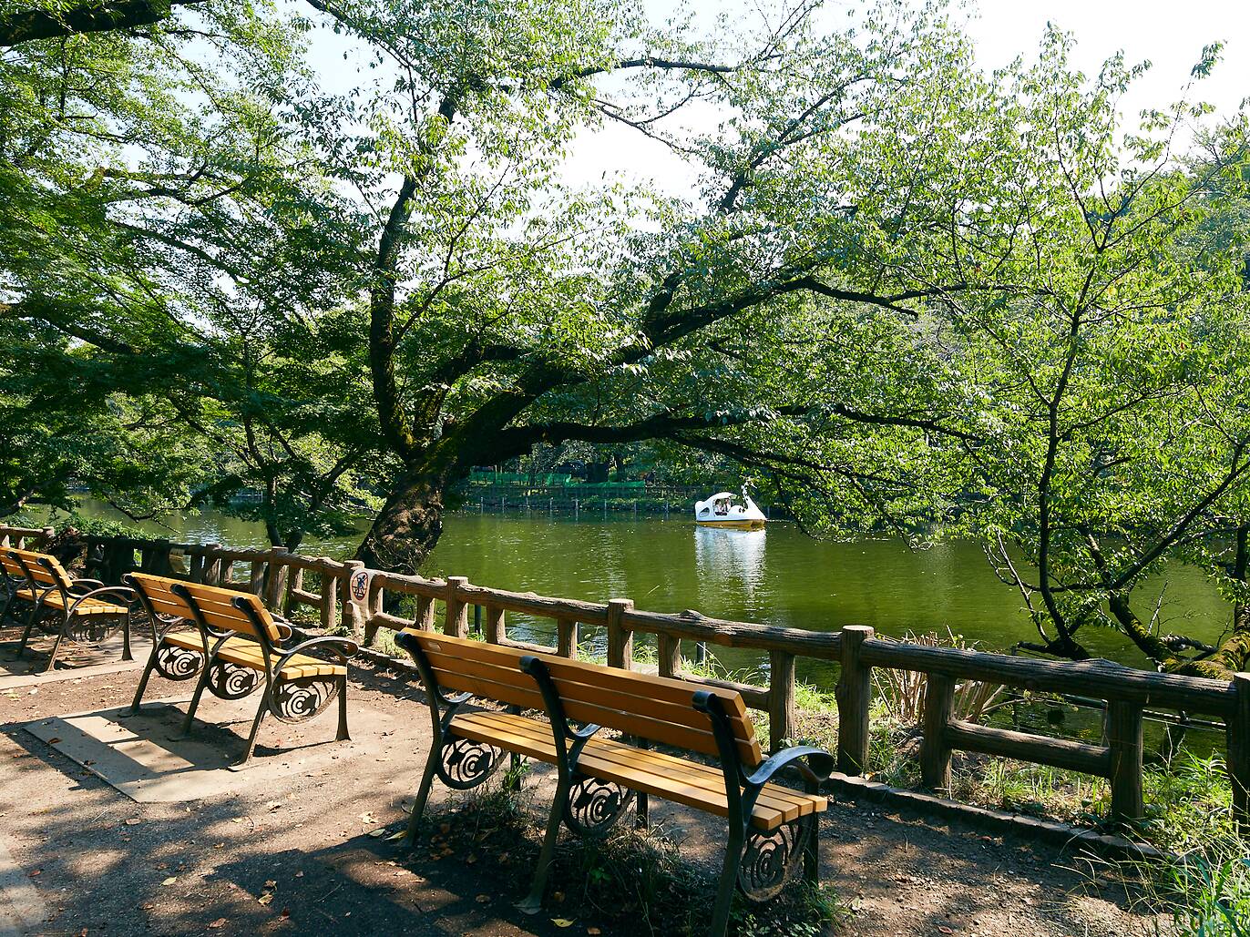 9 best parks and grand green spaces to enjoy in Tokyo