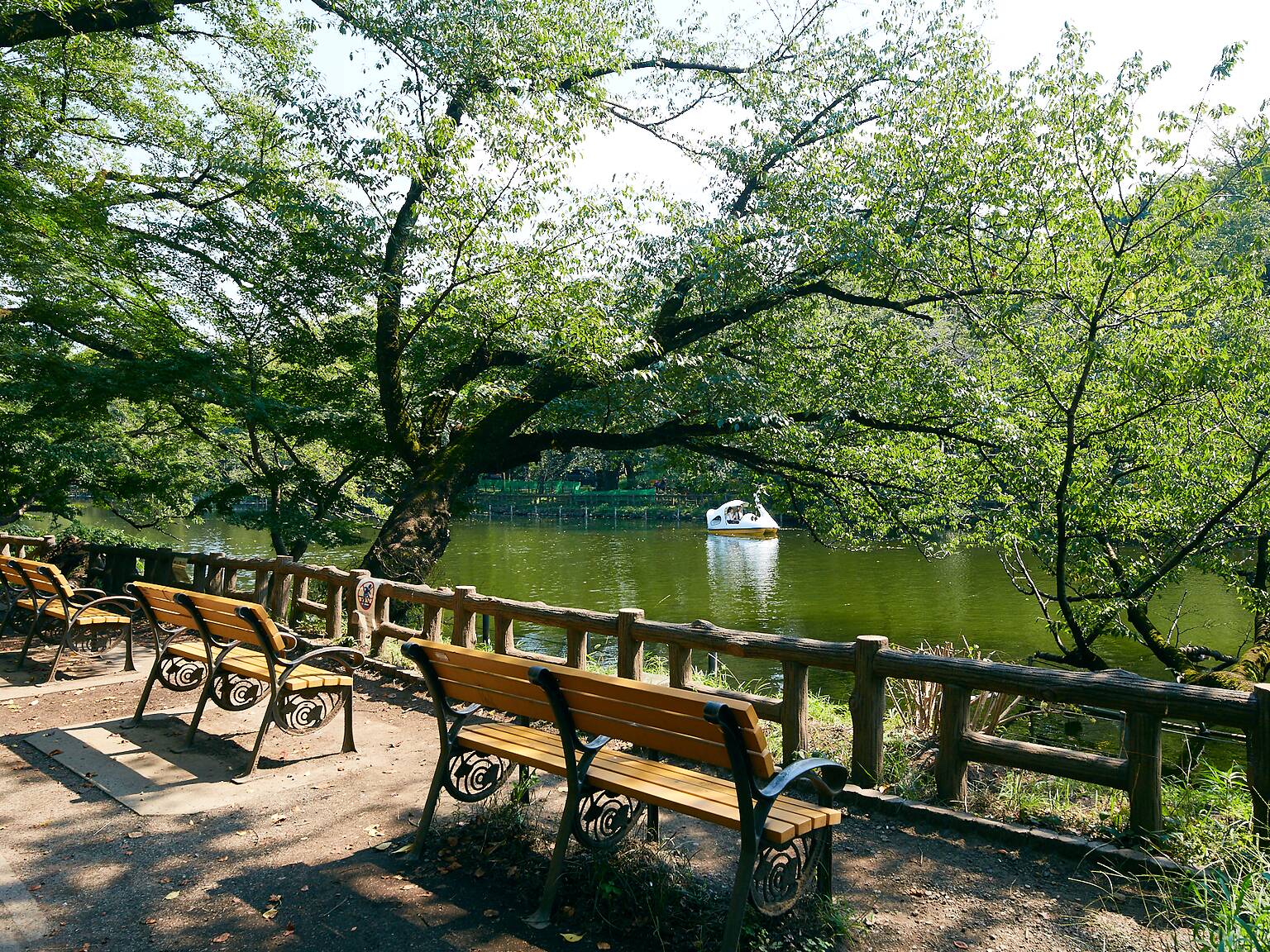 9 best parks and grand green spaces to enjoy in Tokyo