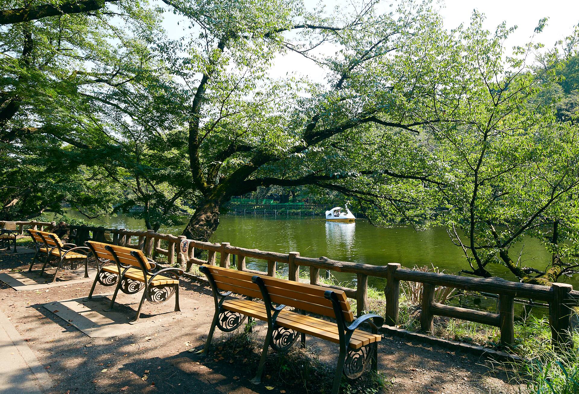 9 best parks and grand green spaces to enjoy in Tokyo