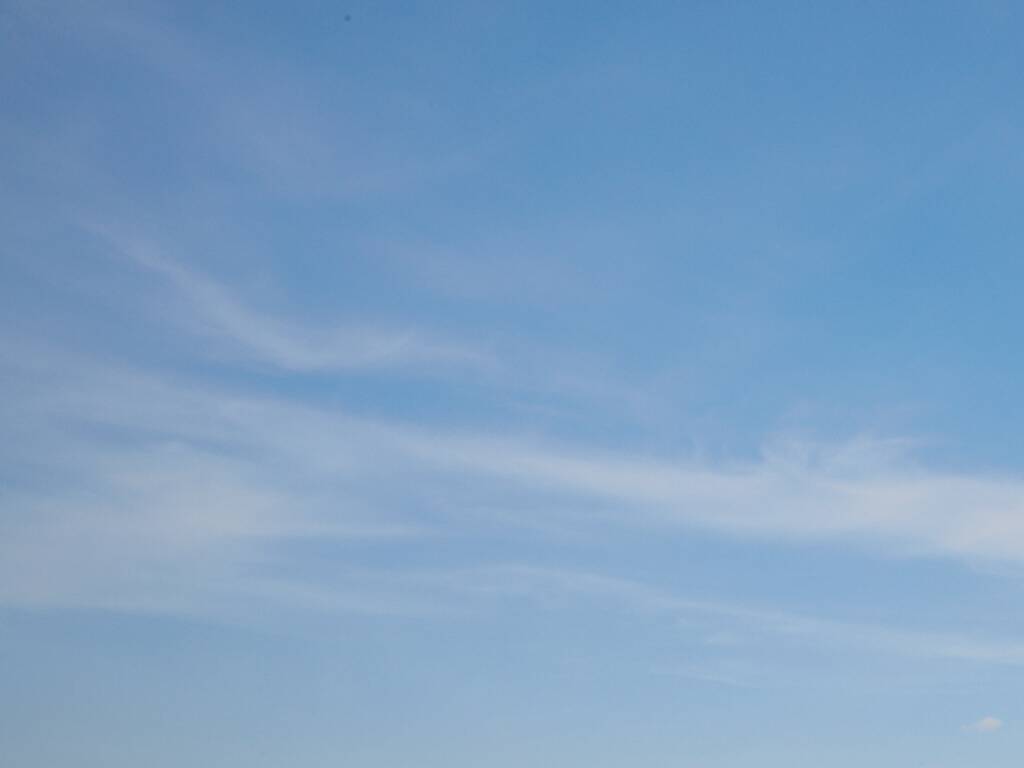 9 best parks and grand green spaces to enjoy in Tokyo