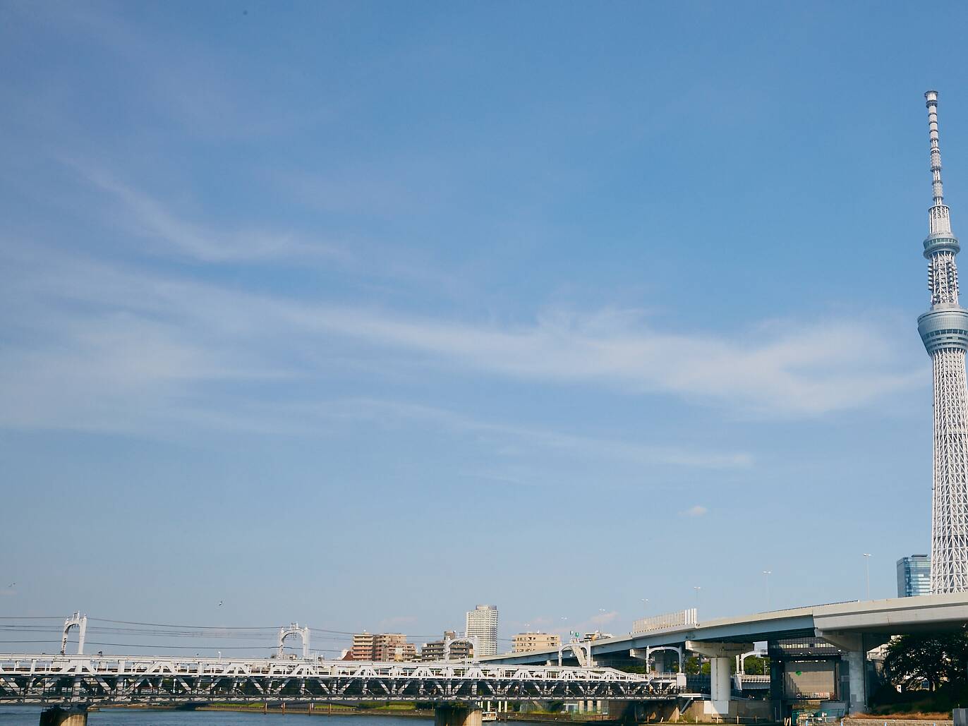 9 best parks and grand green spaces to enjoy in Tokyo