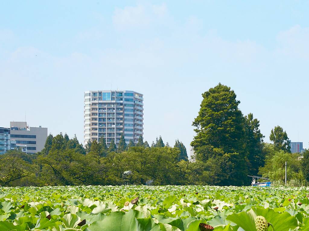 9 best parks and grand green spaces to enjoy in Tokyo