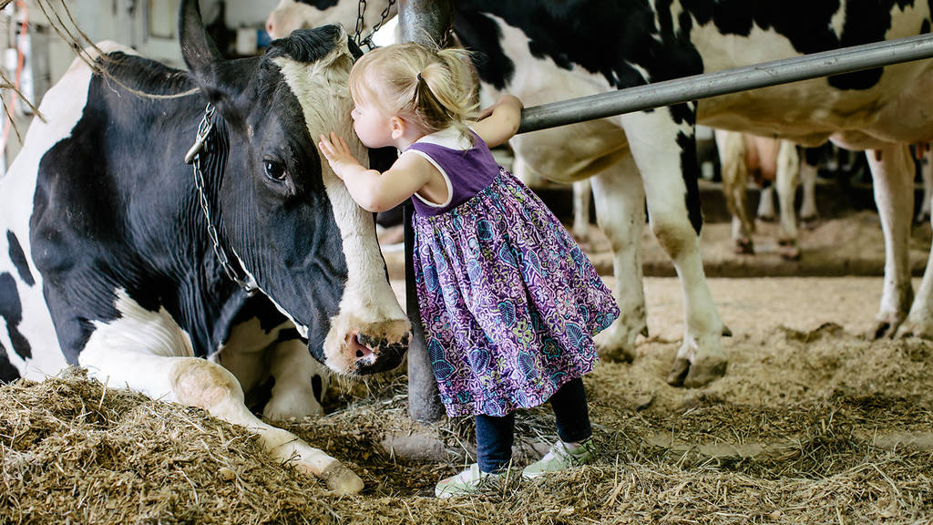 17 Best Farm Stays in the United States | Farm Vacations